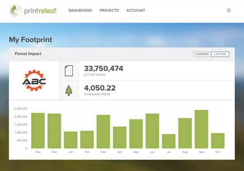 Environment - SumnerOne